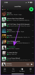 3 Ways to Play Local MP3 Files on iPhone - Guiding Tech