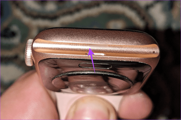 What Series or Model Is My Apple Watch - Guiding Tech