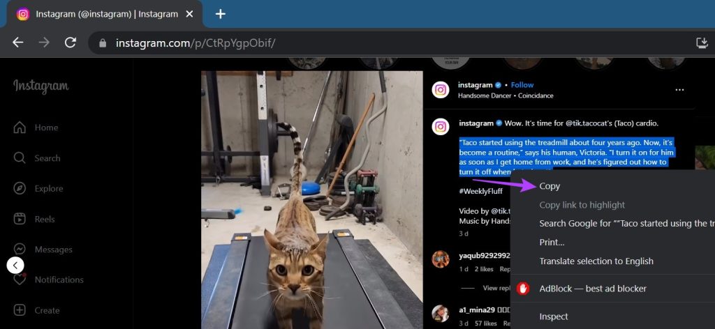 4 Ways to Copy Captions or Text From an Instagram Post - Guiding Tech