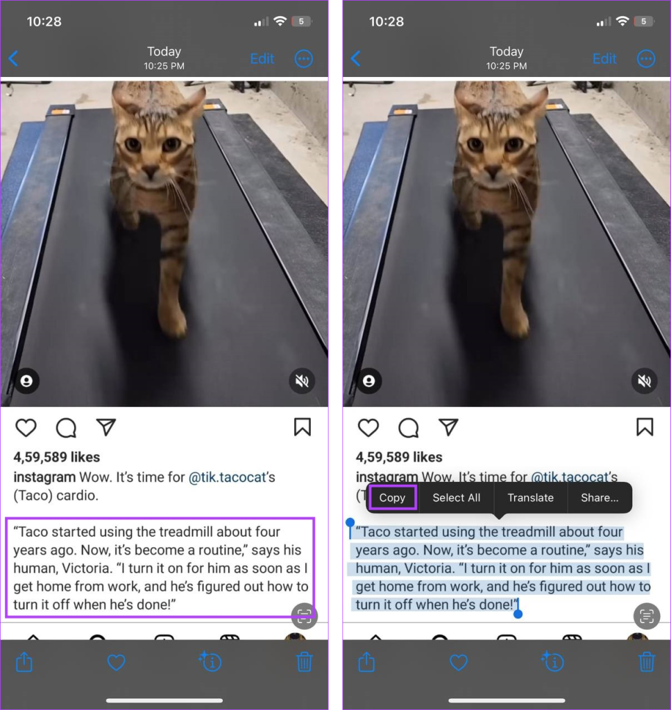 4 Ways to Copy Captions or Text From an Instagram Post - Guiding Tech