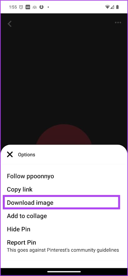 2 Ways to Download Images from Pinterest on Desktop and Mobile ...