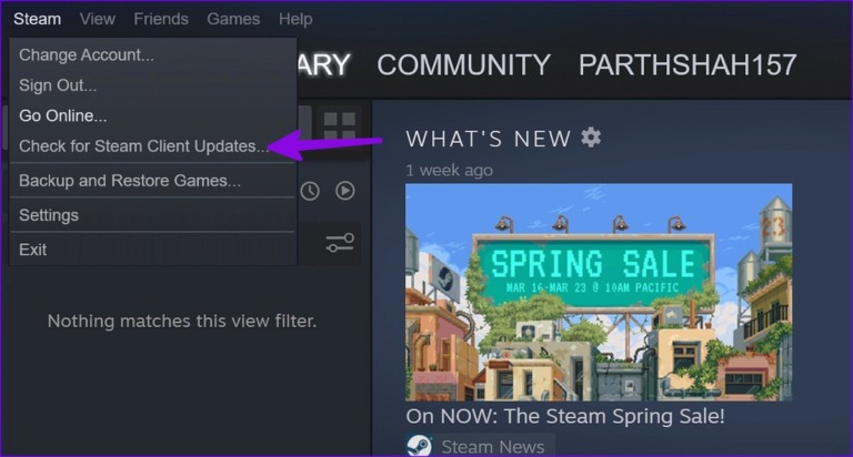 Top 12 Ways to Fix Steam Not Connecting to the Internet on Windows ...