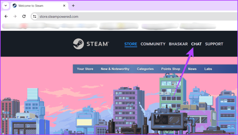 How to Appear Offline or Invisible on Steam (Without Saying Offline ...
