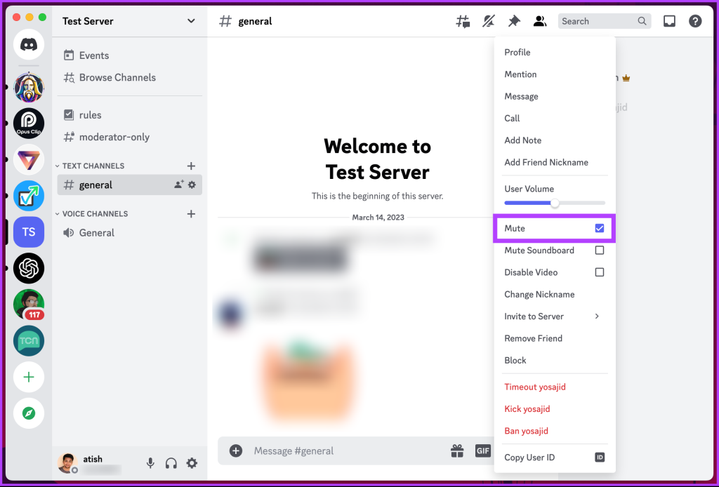 How to Mute Someone on Discord Server - Guiding Tech