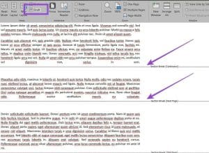 How to Remove a Section Break in MS Word - Guiding Tech