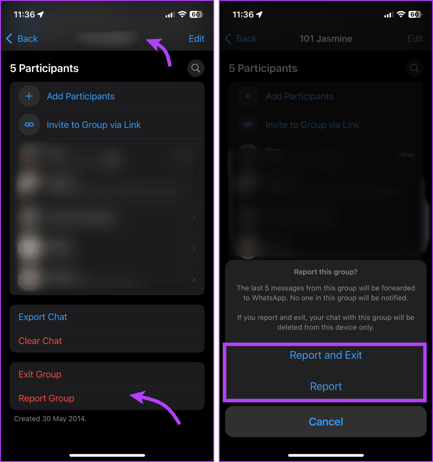 What Happens When You Report Someone on WhatsApp