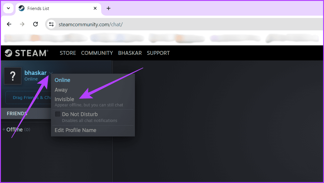 How to Appear Offline or Invisible on Steam (Without Saying Offline ...