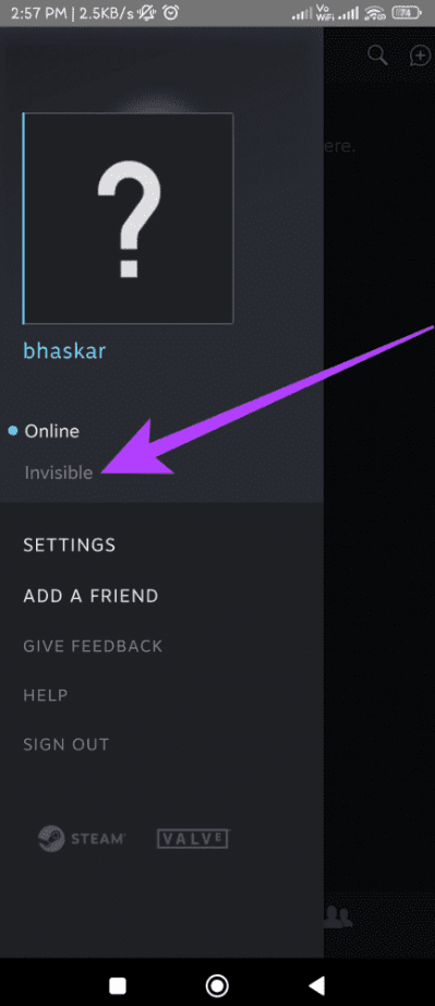 How to Appear Offline or Invisible on Steam (Without Saying Offline ...