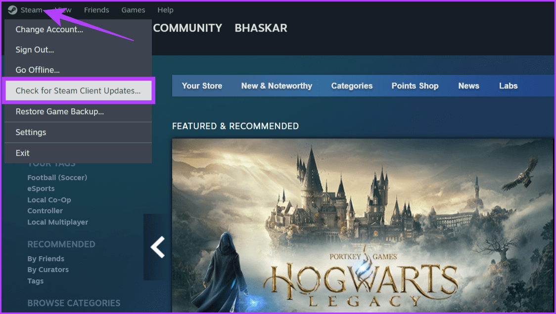 10 Ways to Fix Steam Family Sharing Not Working on Windows 11 - Guiding ...