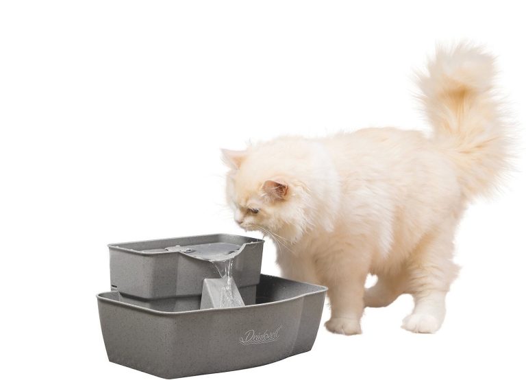 6 Best Automatic Dog Water Dispensers and Fountains - Guiding Tech