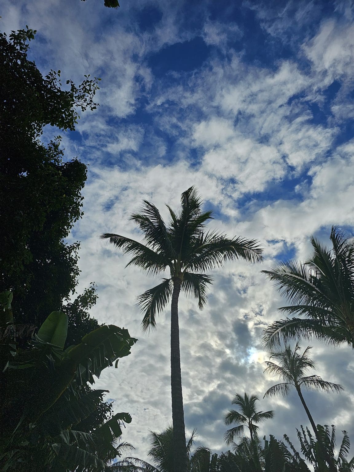 Ray-Ban Meta Smart Glasses Review: Should You Buy It?