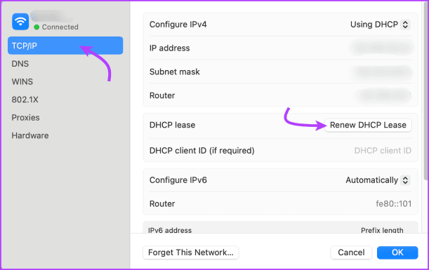 How to Fix "Safari Can't Find the Server" Error on Mac - Guiding Tech