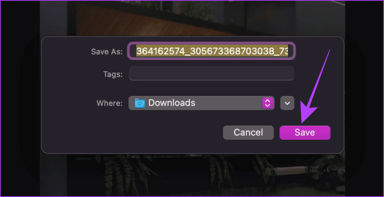 5 Ways to Download Photos and Videos From Threads - Guiding Tech