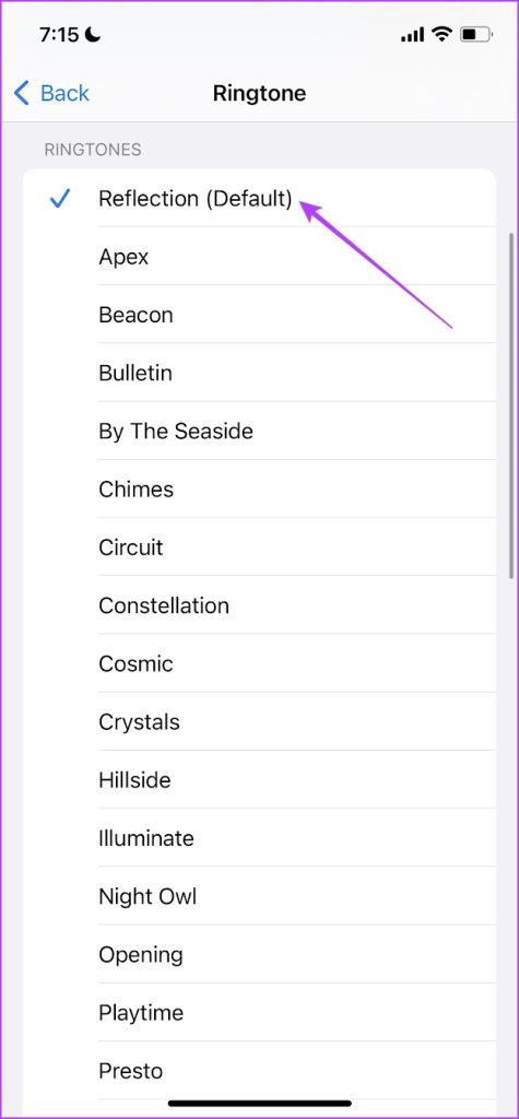 6 Ways to Fix iPhone Not Ringing For Incoming Calls