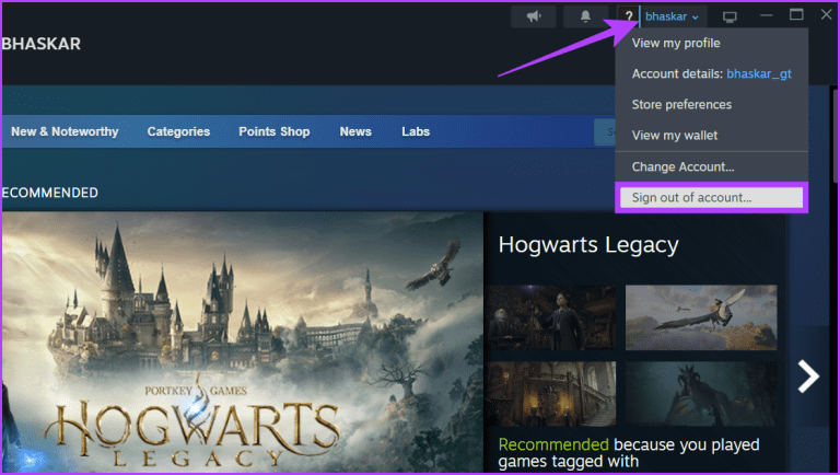 10 Ways to Fix Steam Family Sharing Not Working on Windows 11 - Guiding ...