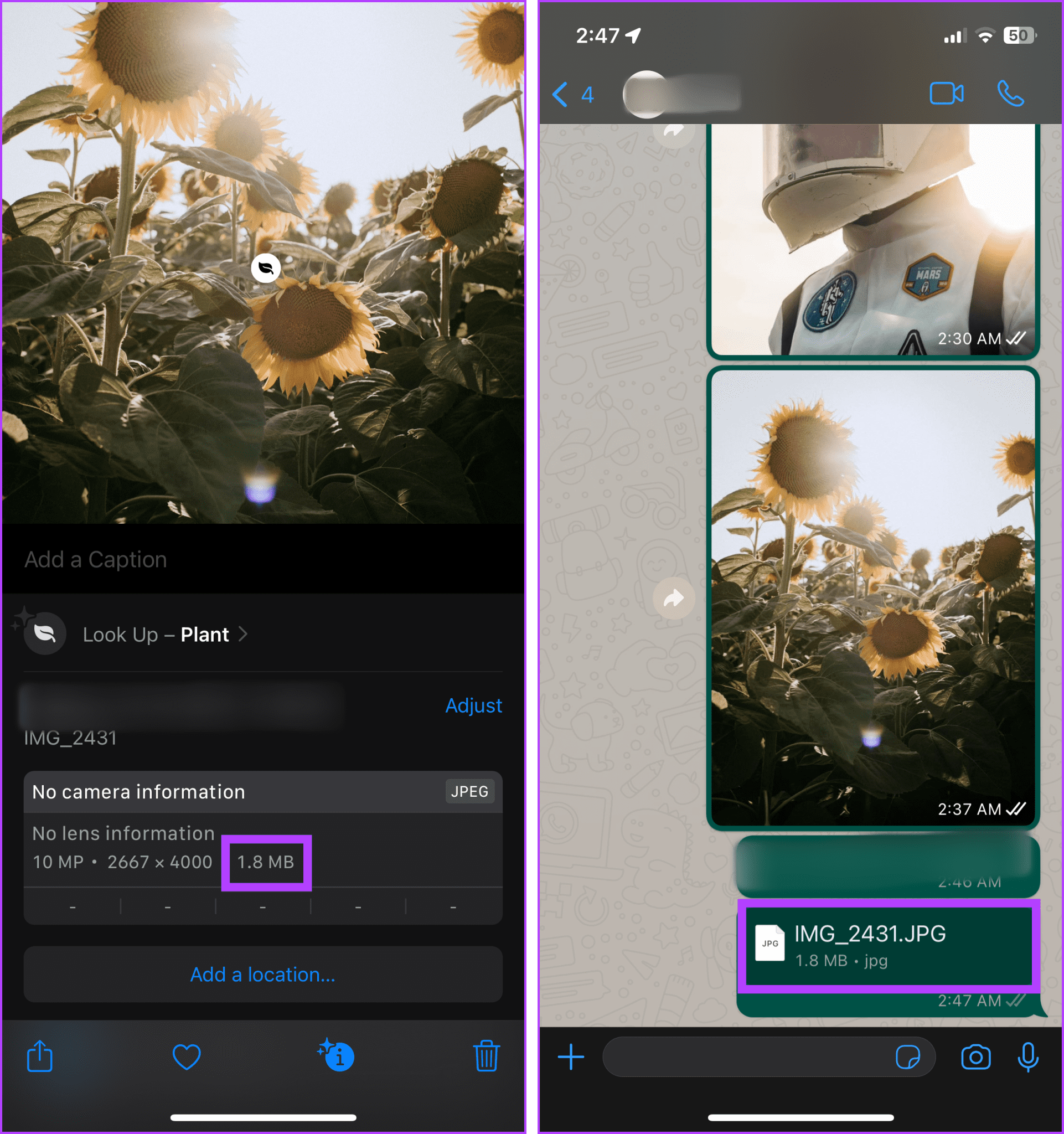 How to Send Original Size Pictures on WhatsApp