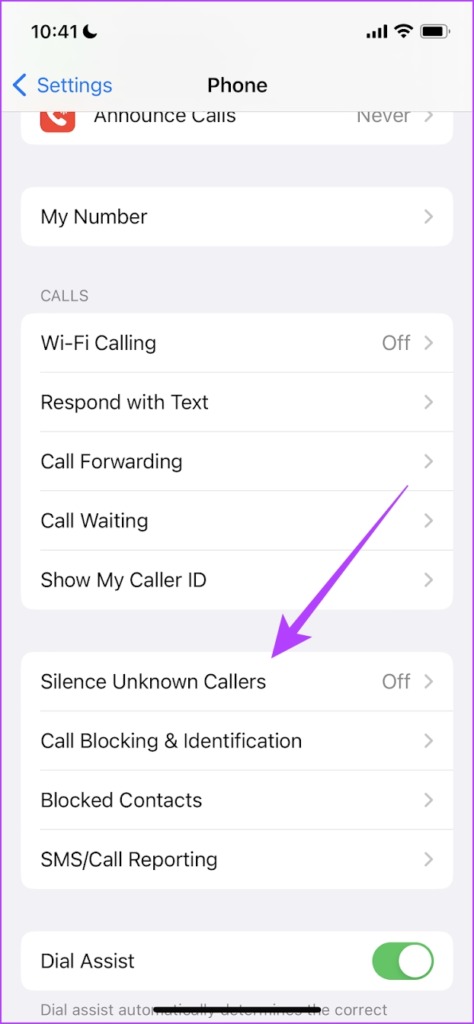 6 Ways to Fix iPhone Not Ringing For Incoming Calls