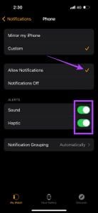5 Ways to Fix Apple Watch Not Ringing for Incoming Calls - Guiding Tech
