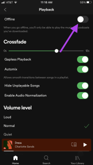 How To Allow Spotify To Download Using Data