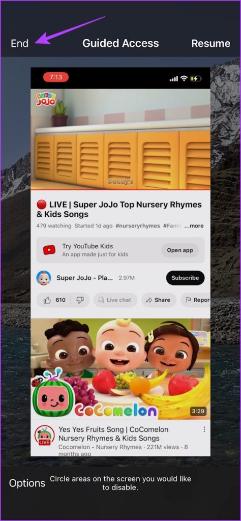 How to Use Guided Access on iPhone and iPad - Guiding Tech