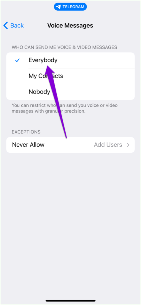 Top 10 Fixes for Telegram Voice Messages Not Working on Android and ...