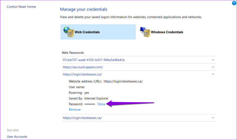 How to Access and Use Credential Manager on Windows 10 and 11 - Guiding ...