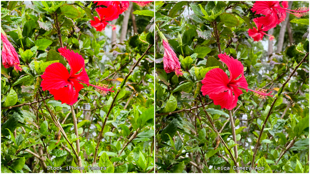 Your iPhone Can Now Take Pictures Like a $10,000 Camera - Thanks to ...