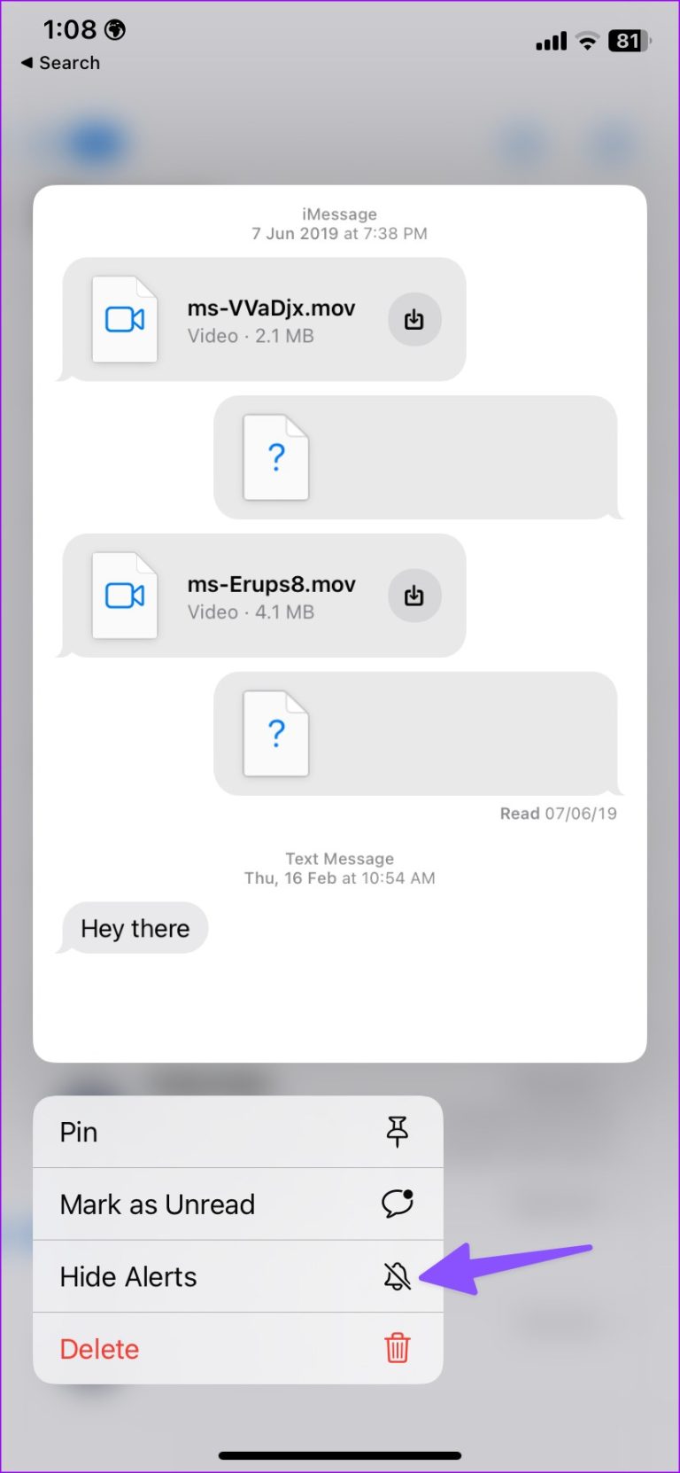 What Is Hide Alerts in Messages on iPhone, iPad, and Mac - Guiding Tech