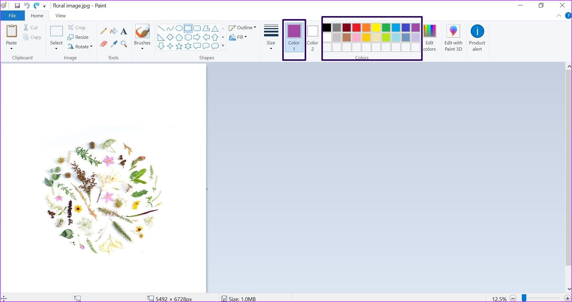 How to Add Borders to an Image Using Microsoft Paint