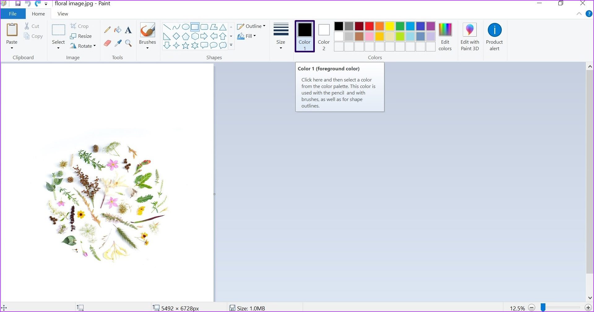 How to Add Borders to an Image Using Microsoft Paint