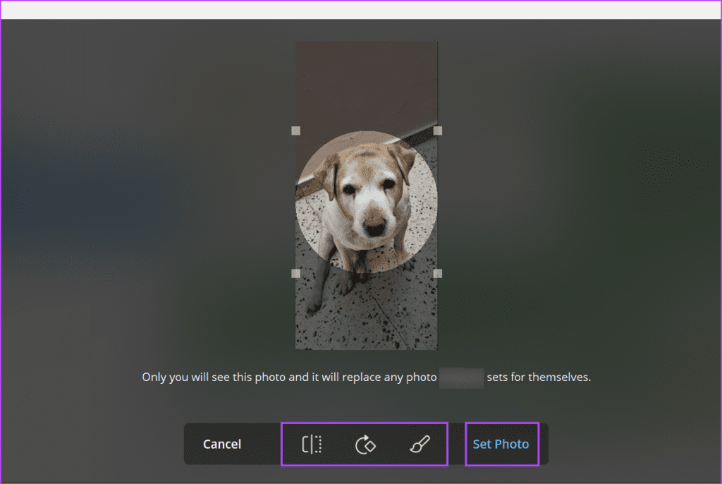 How to Suggest Profile Picture to Your Telegram Contacts - Guiding Tech