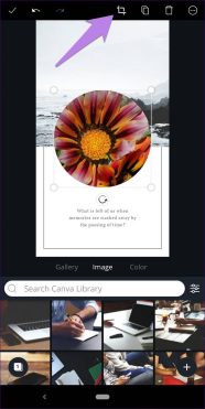 How To Crop Pictures Into Shapes In Canva Desktop And Mobile Apps How To Crop Pictures Into Shapes In Canva Desktop And Mobile Apps