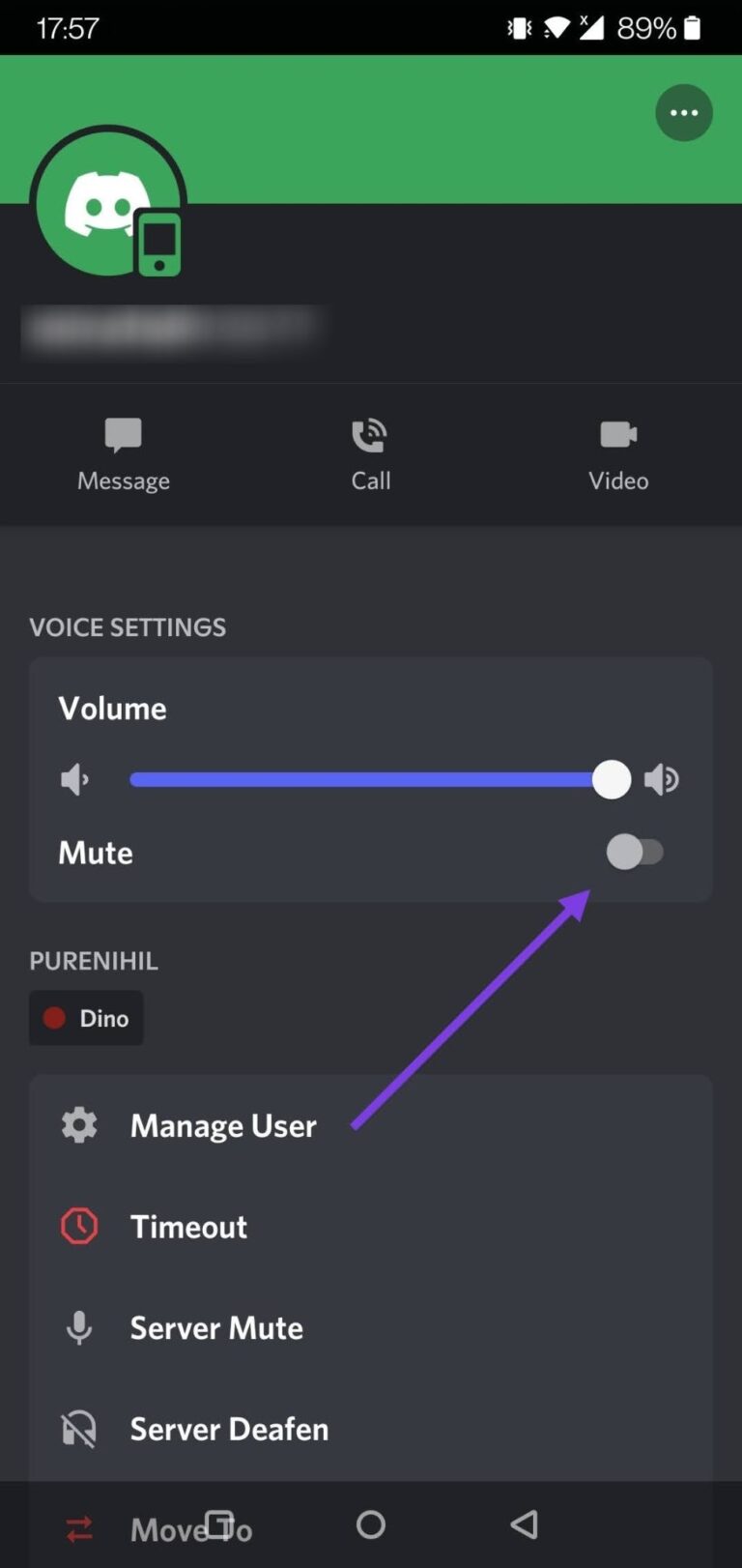 How to Mute Someone in Discord - Guiding Tech
