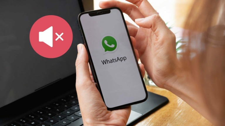 How to Set Custom Notification Sound for Specific Contacts on WhatsApp ...