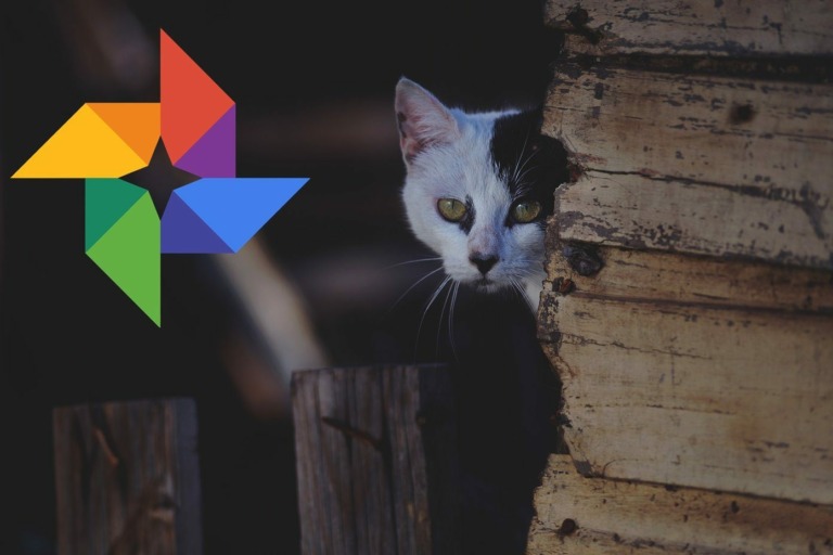 10 Best Ways to Fix Google Docs Not Downloading Issues