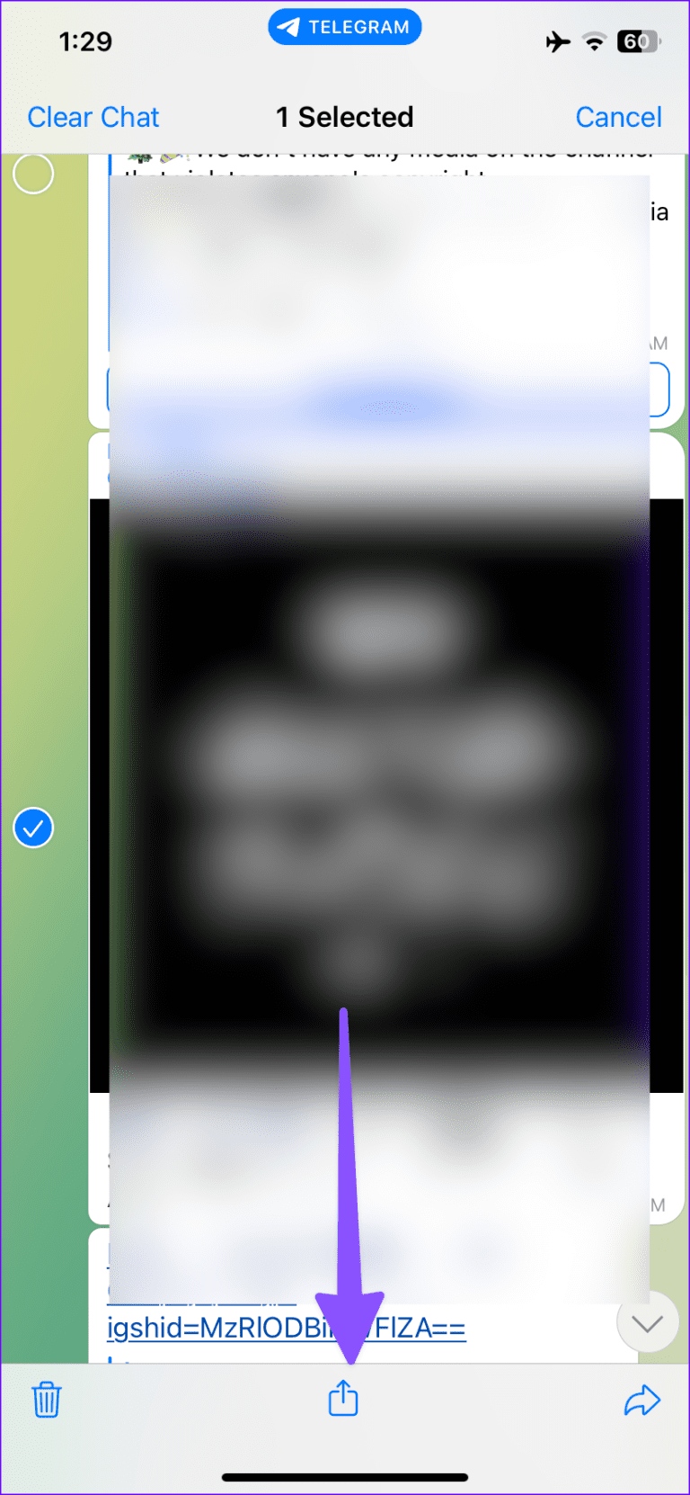 Top 2 Ways to Watch Videos Downloaded From Telegram on iPhone - Guiding ...