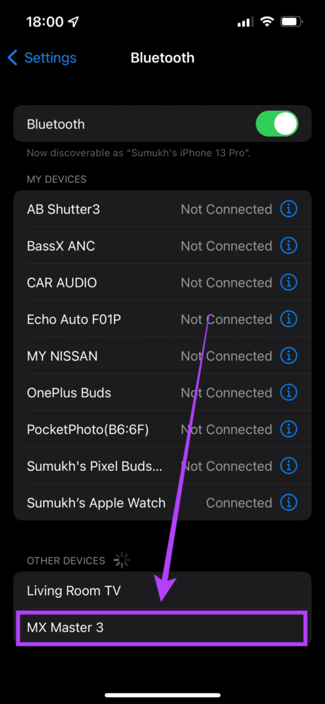 How to Use a Mouse With Your iPhone - Guiding Tech