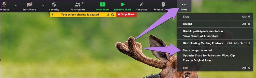 How to Share Video With Sound on Zoom, Microsoft Teams, and Google Meet ...