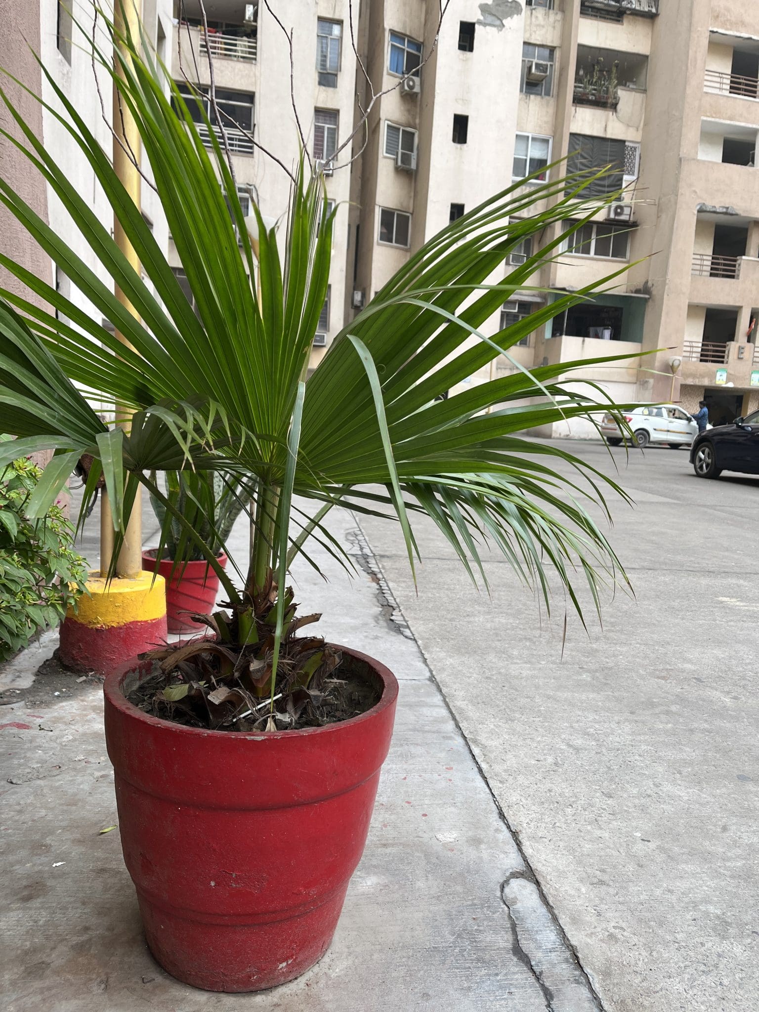 Top 5 Camera Settings to Click Best-Quality Photos From iPhone 13 ...