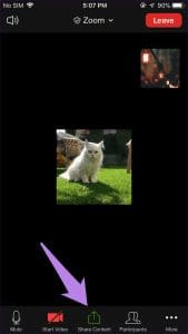 How to Share Video With Sound on Zoom, Microsoft Teams, and Google Meet ...