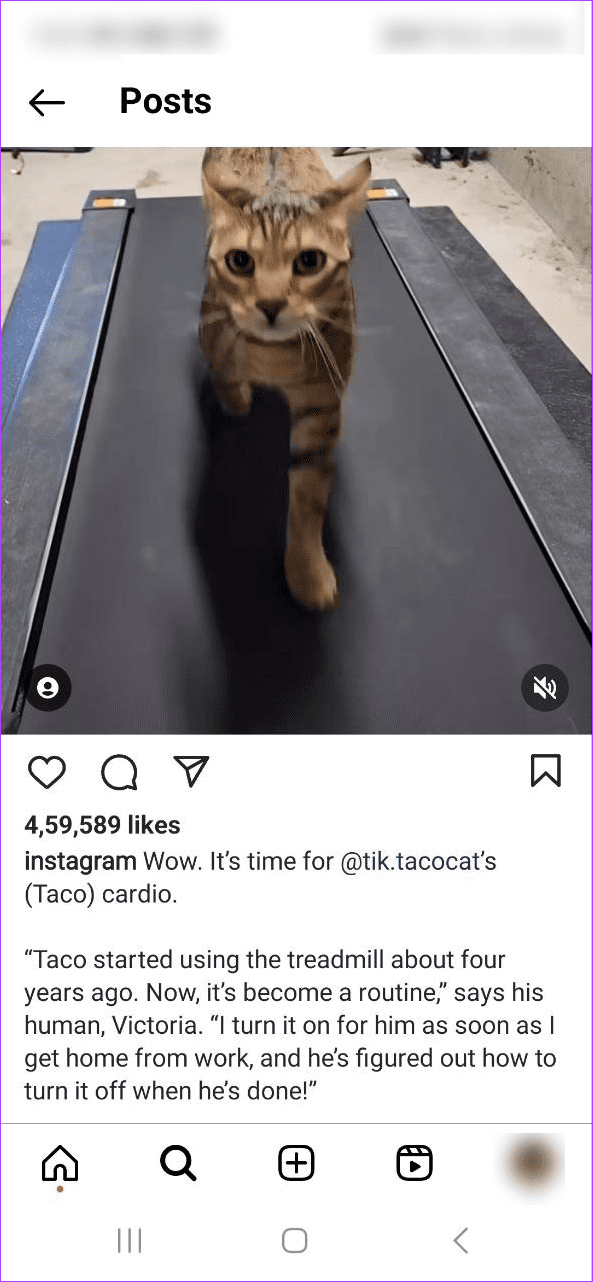 4 Ways to Copy Captions or Text From an Instagram Post - Guiding Tech