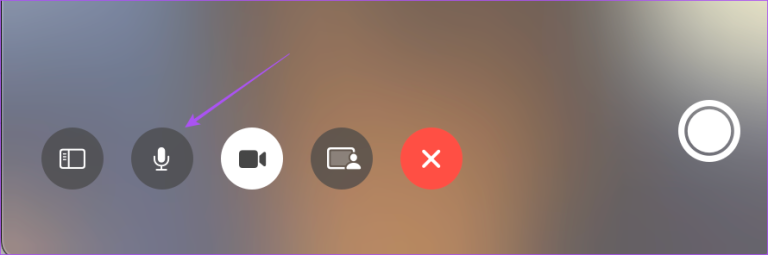 How to Mute Yourself or Others on FaceTime - Guiding Tech