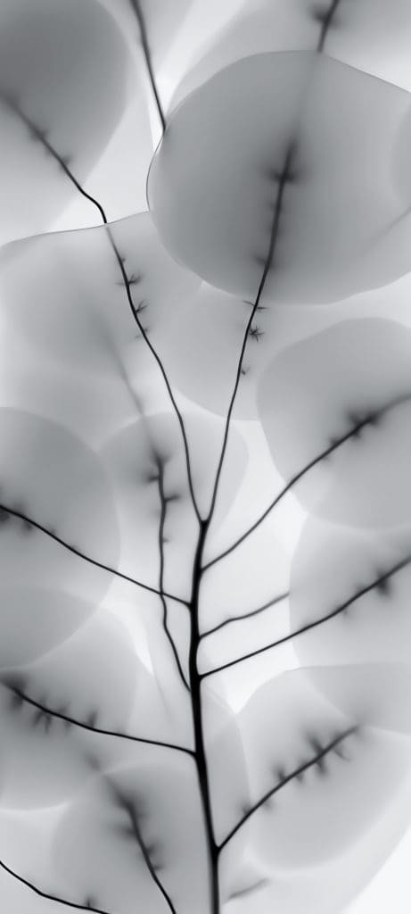 16 Cool Nothing Phone 2 Wallpapers (4K) for Free - Guiding Tech