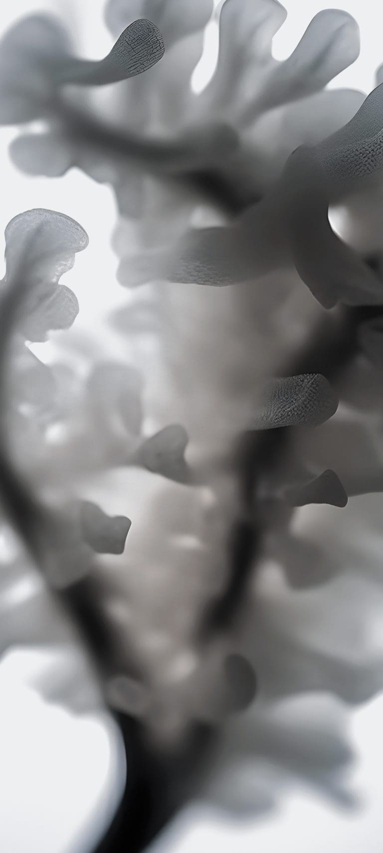 16 Cool Nothing Phone 2 Wallpapers (4K) for Free - Guiding Tech