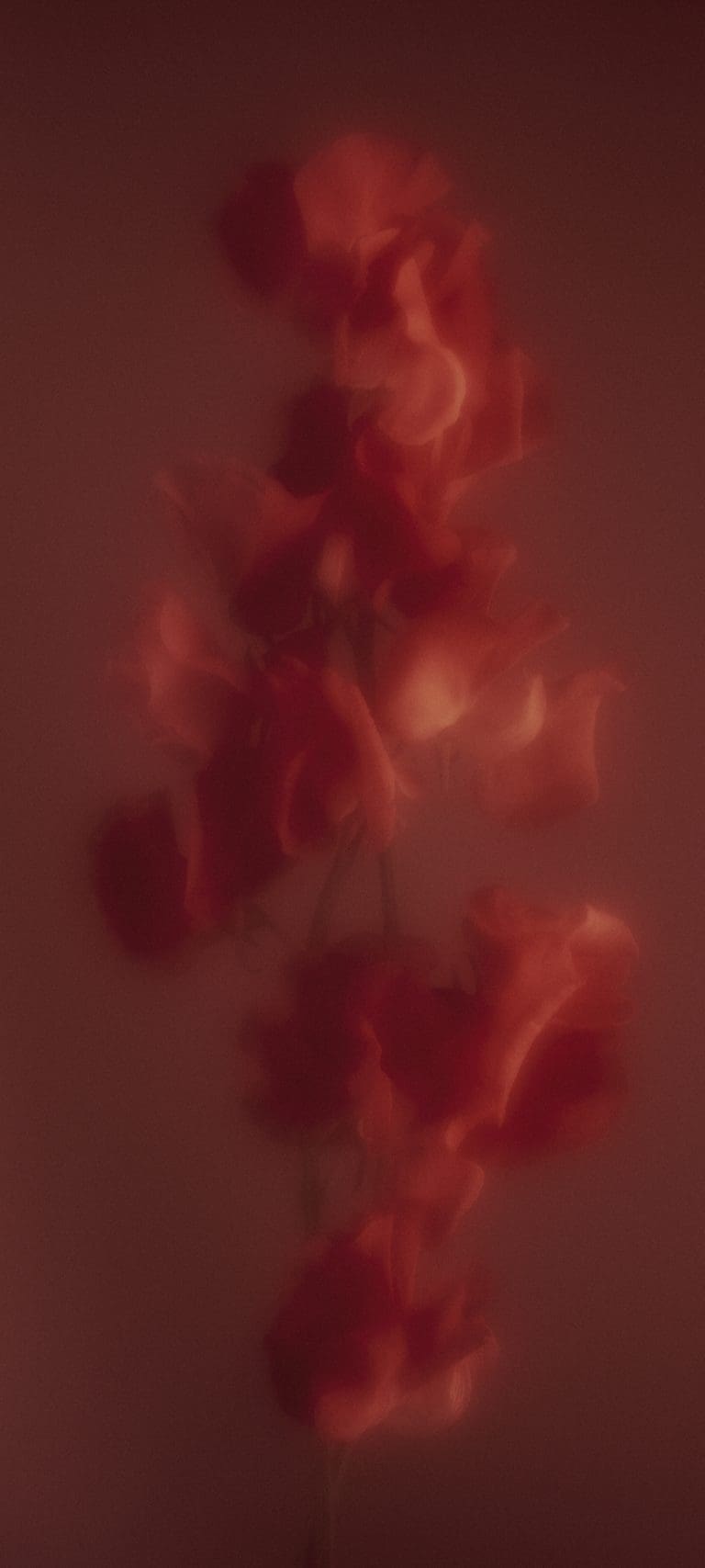 16 Cool Nothing Phone 2 Wallpapers (4K) for Free - Guiding Tech